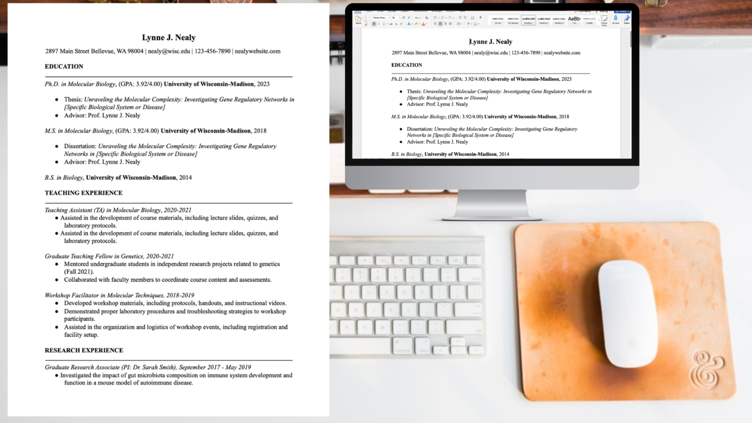 Assistant Professor Job CV and Cover Letter Template - FriendlyWorkflow