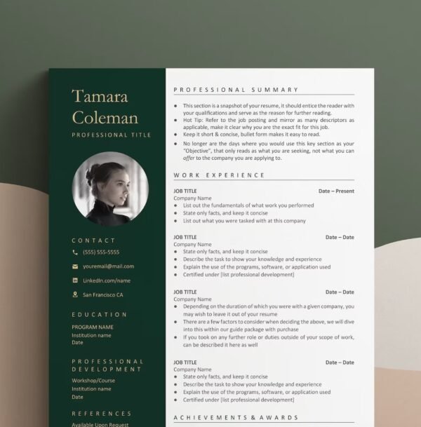 FriendlyWorkflow I The Best Free Online Resume Templates